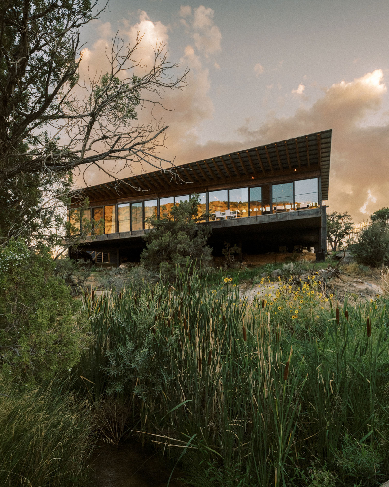 The Periphery - Boutique